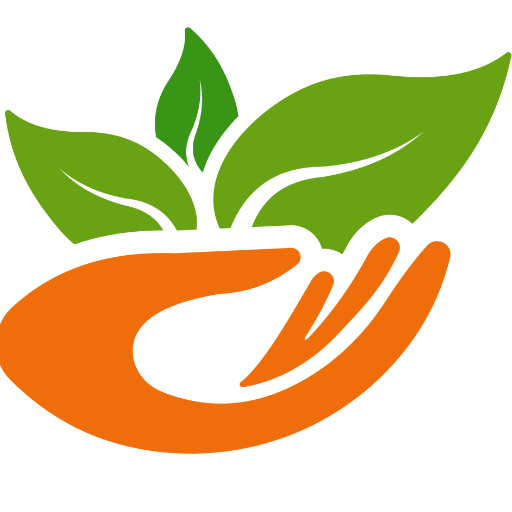 How to grow shamrock plants - PlantCareHub